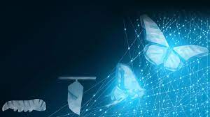 Digital Eyecon - Reviews, Phone, Address, Images