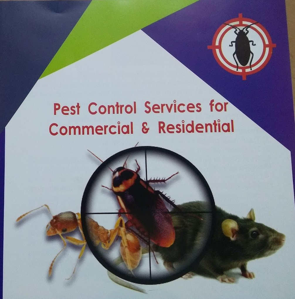 Rk pest control services chennai - Reviews, Phone, Address, Images