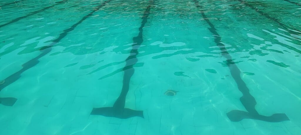 Anna Stadium Swimming Pool - Reviews, Phone, Address, Images