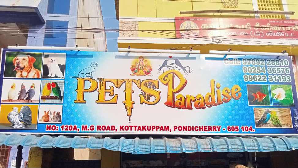 PETS PARADISE PONDY - Reviews, Phone, Address, Images