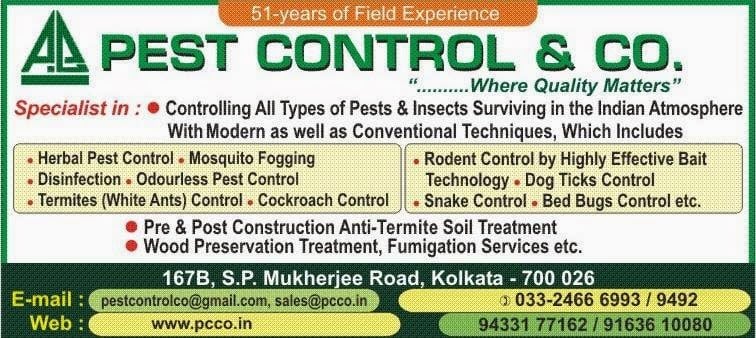 Pest Control & Co - Reviews, Phone, Address, Images