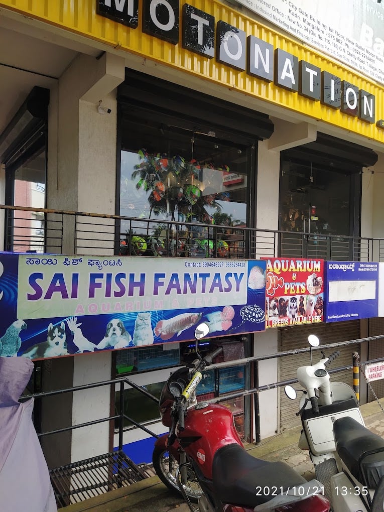 Sai Fish Fantasy - Reviews - Phone No. - Address - Lentlo.com